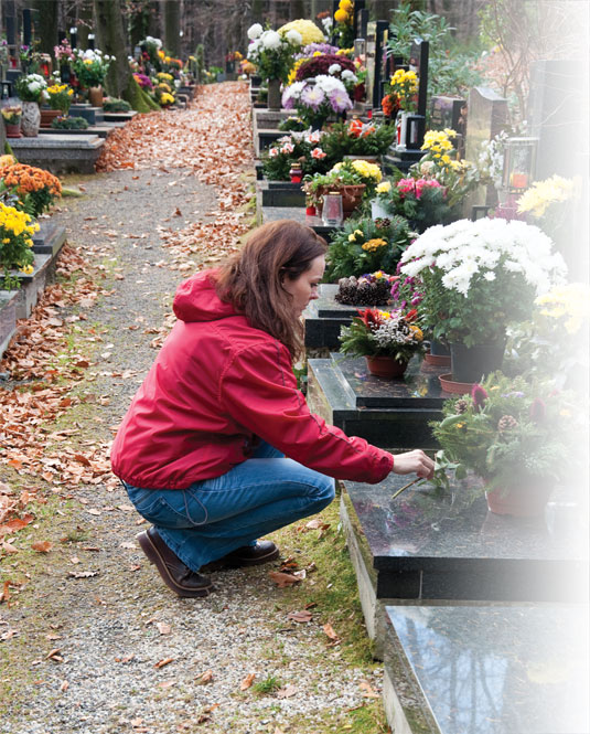 The art of noticing: Being mindful of how the losses of life affect us ...